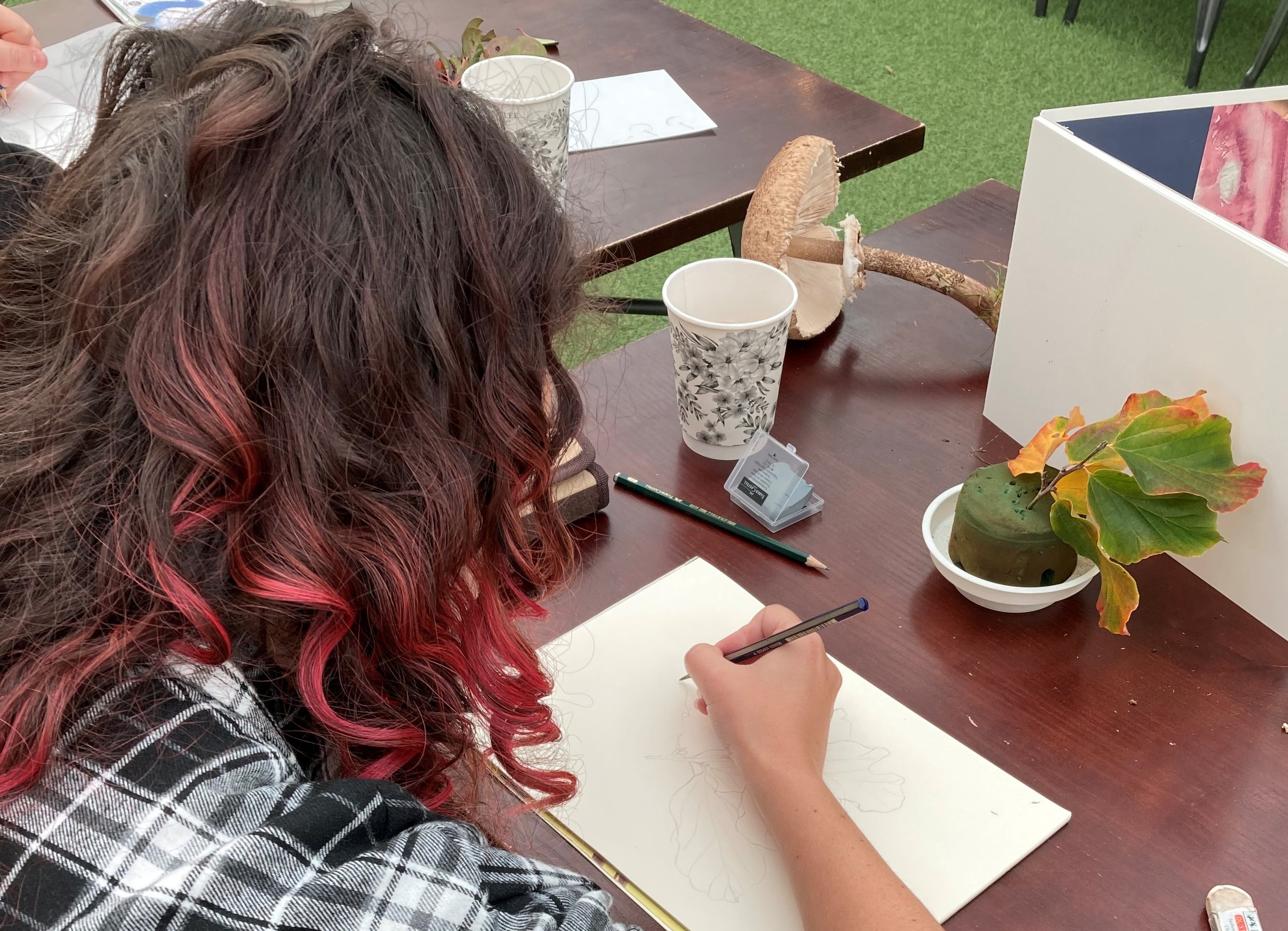 Botanical Illustration Workshop: Summer at Leonardslee | Leonardslee ...