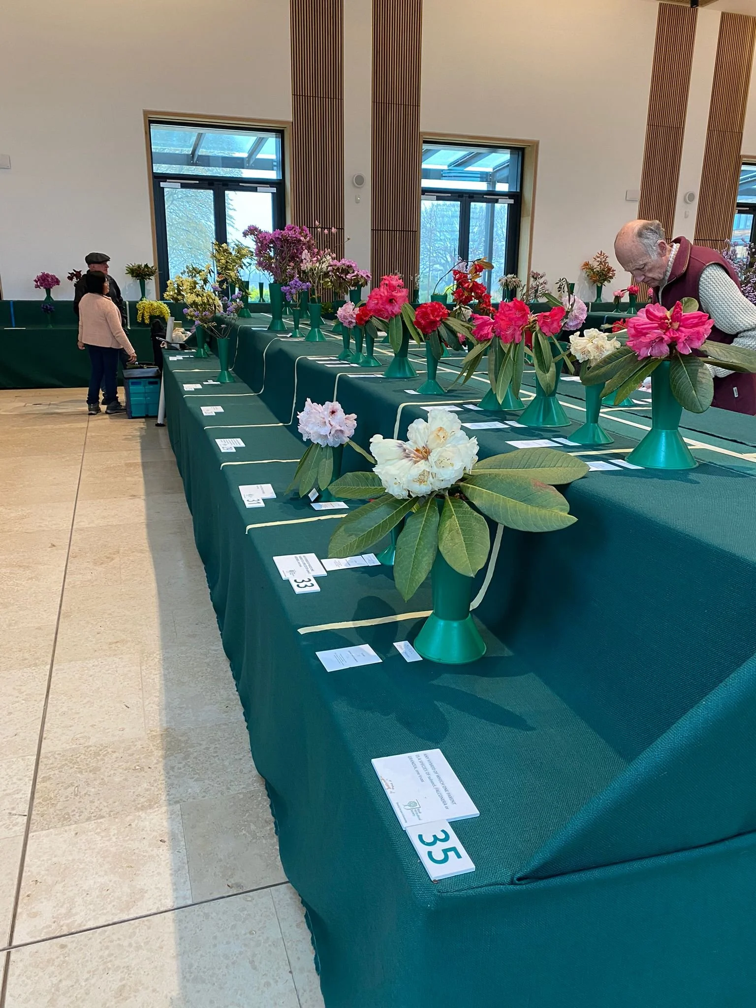 Leonardslee Rhododendrons Triumph at RHS Wisley Spring Show ...