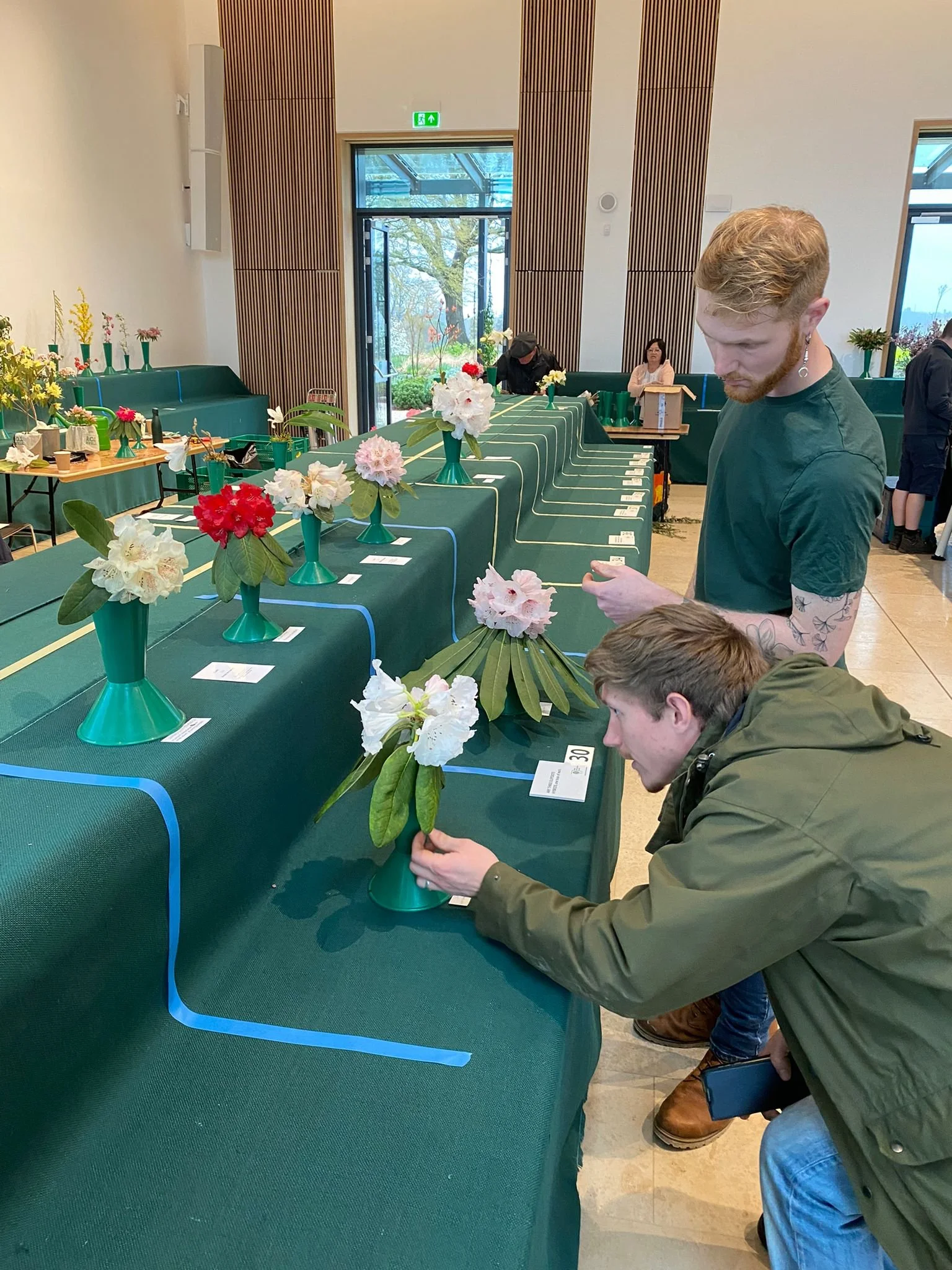 Leonardslee Rhododendrons Triumph at RHS Wisley Spring Show ...