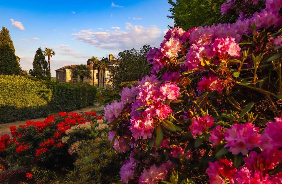 Neurodivergent Celebration & Photography Walk with Joe James ...