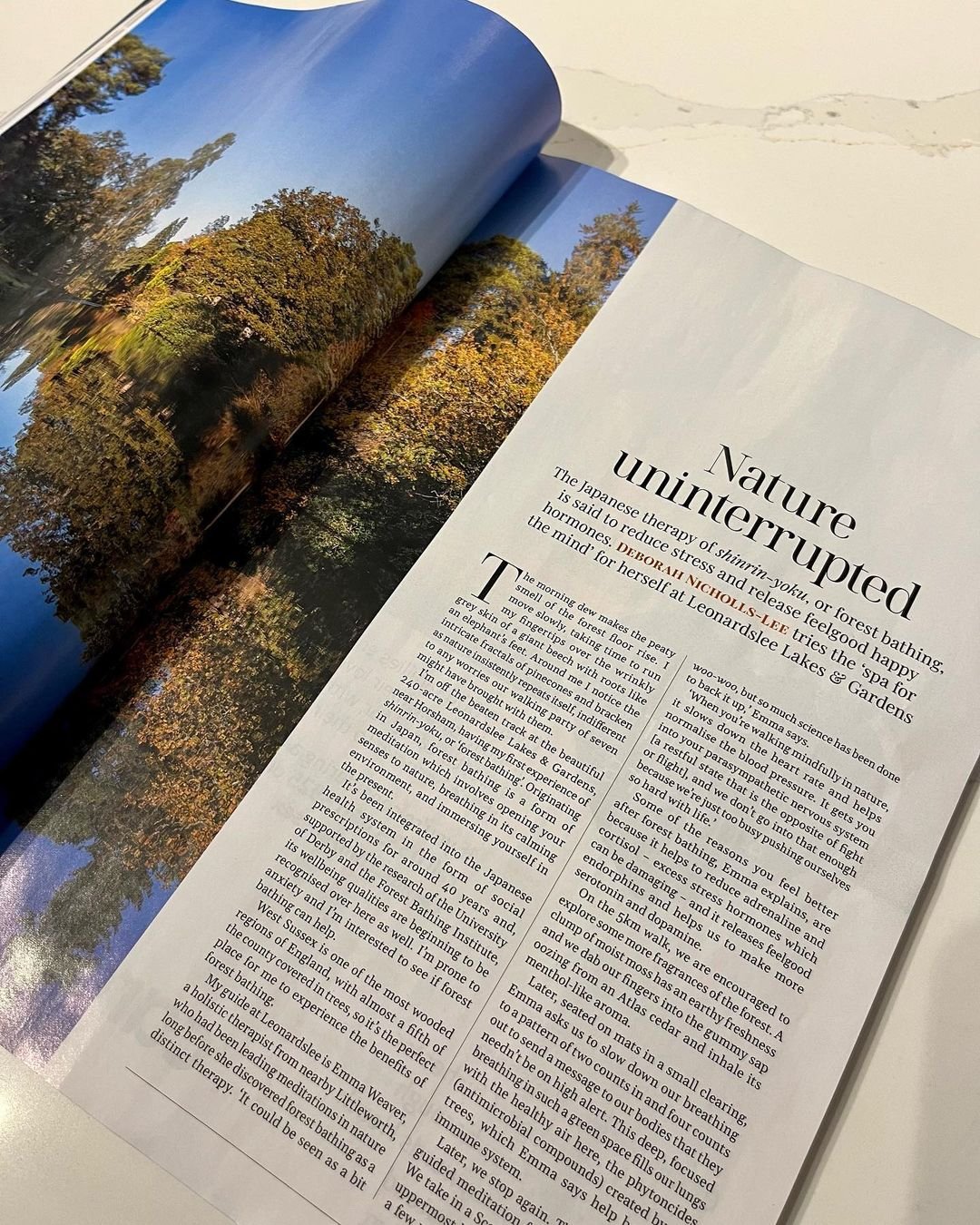 Forest bathing beneath Sussex’s green canopy by Deborah Nicholls-Lee ...