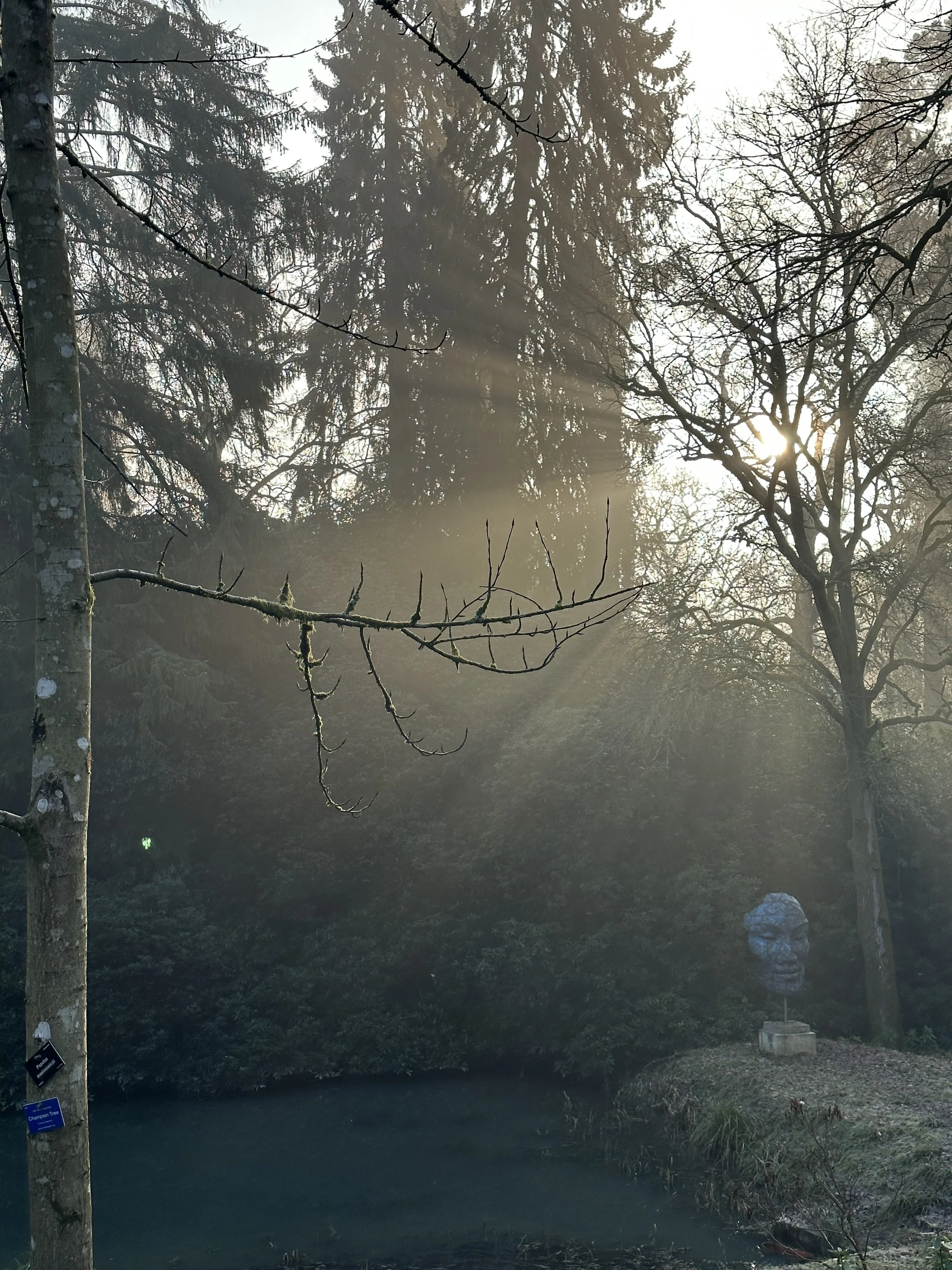 Winter Welly Walk at Leonardslee | Leonardslee Gardens