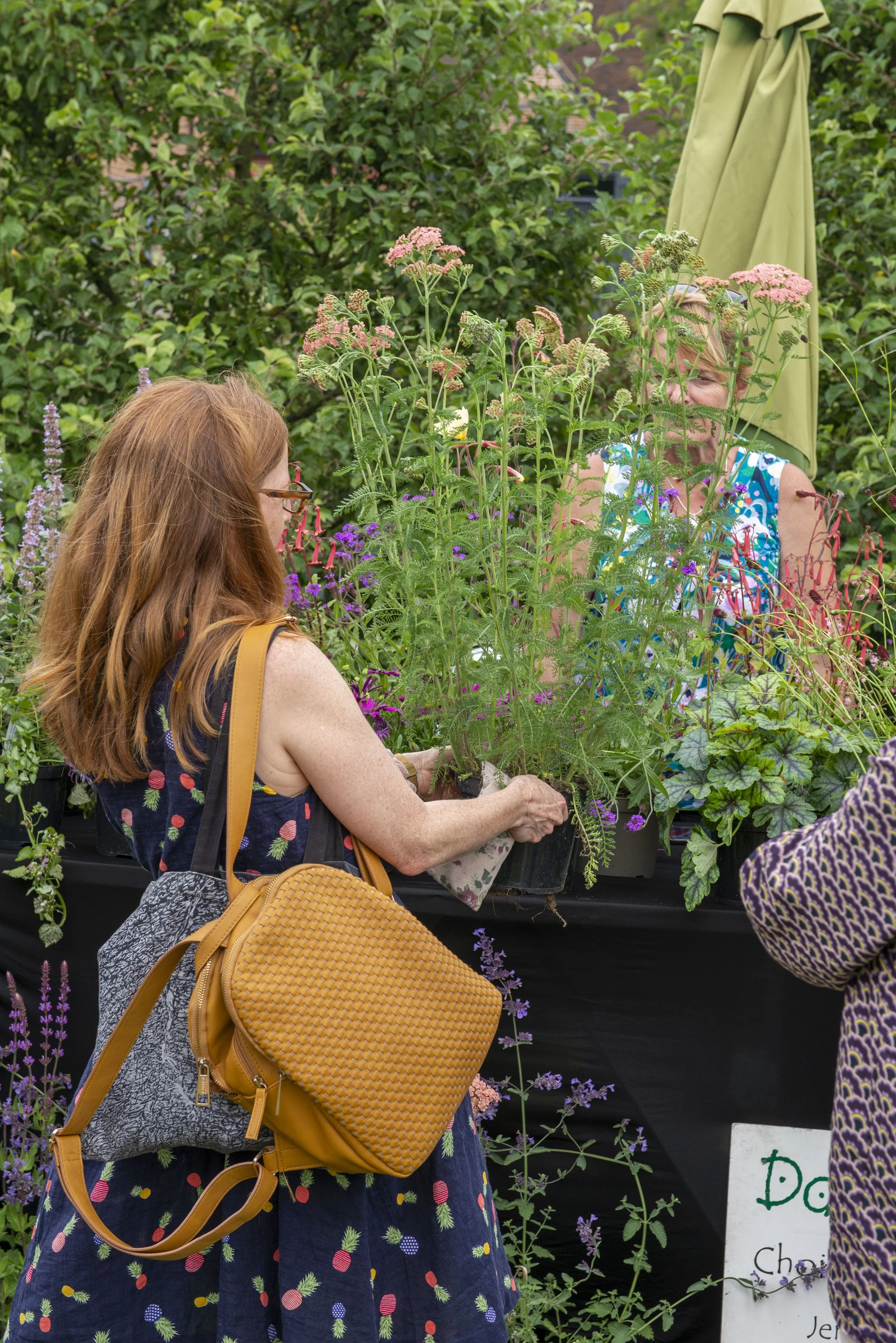 Leonardslee Plant Fair | Leonardslee Gardens