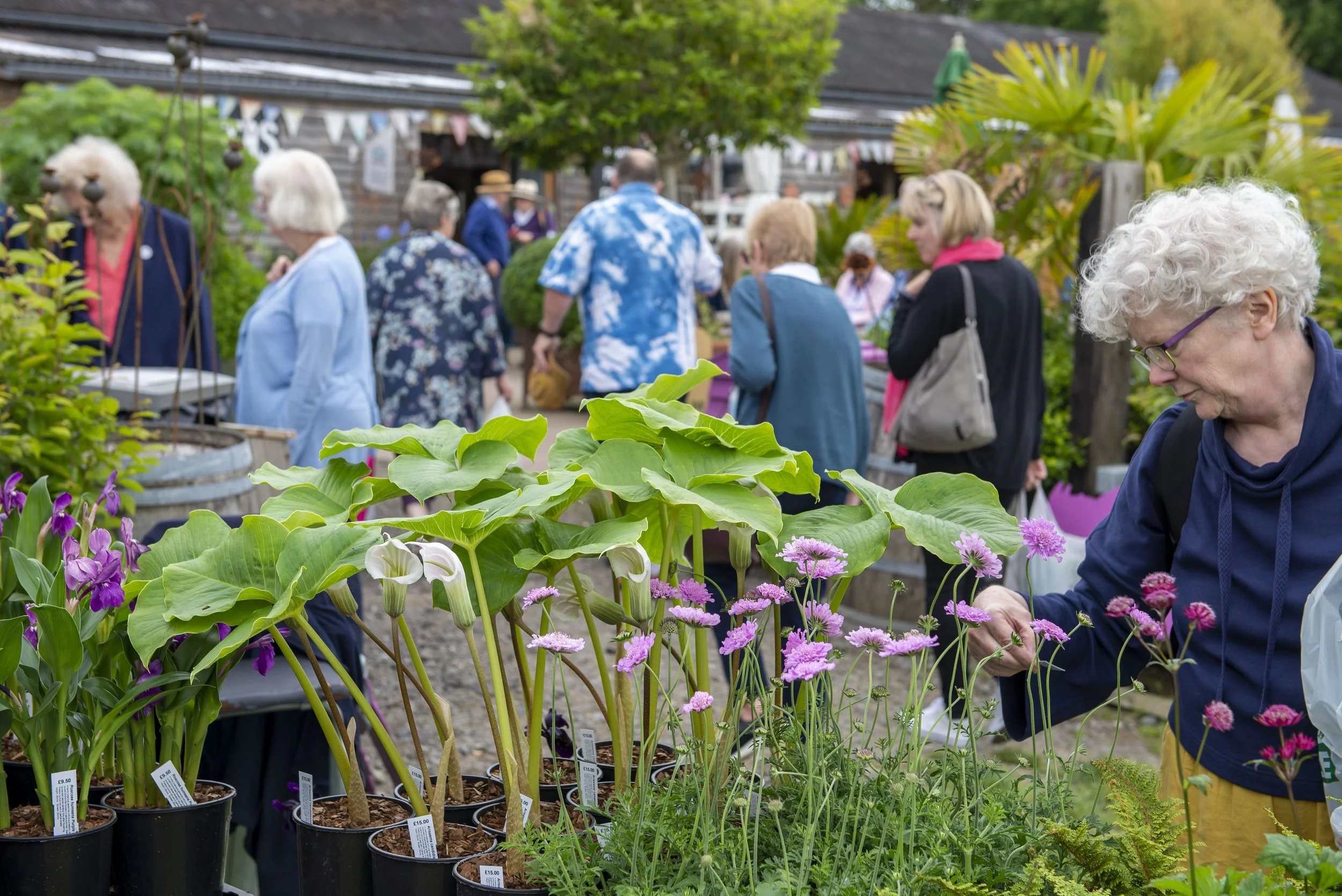Leonardslee Plant Fair | Leonardslee Gardens