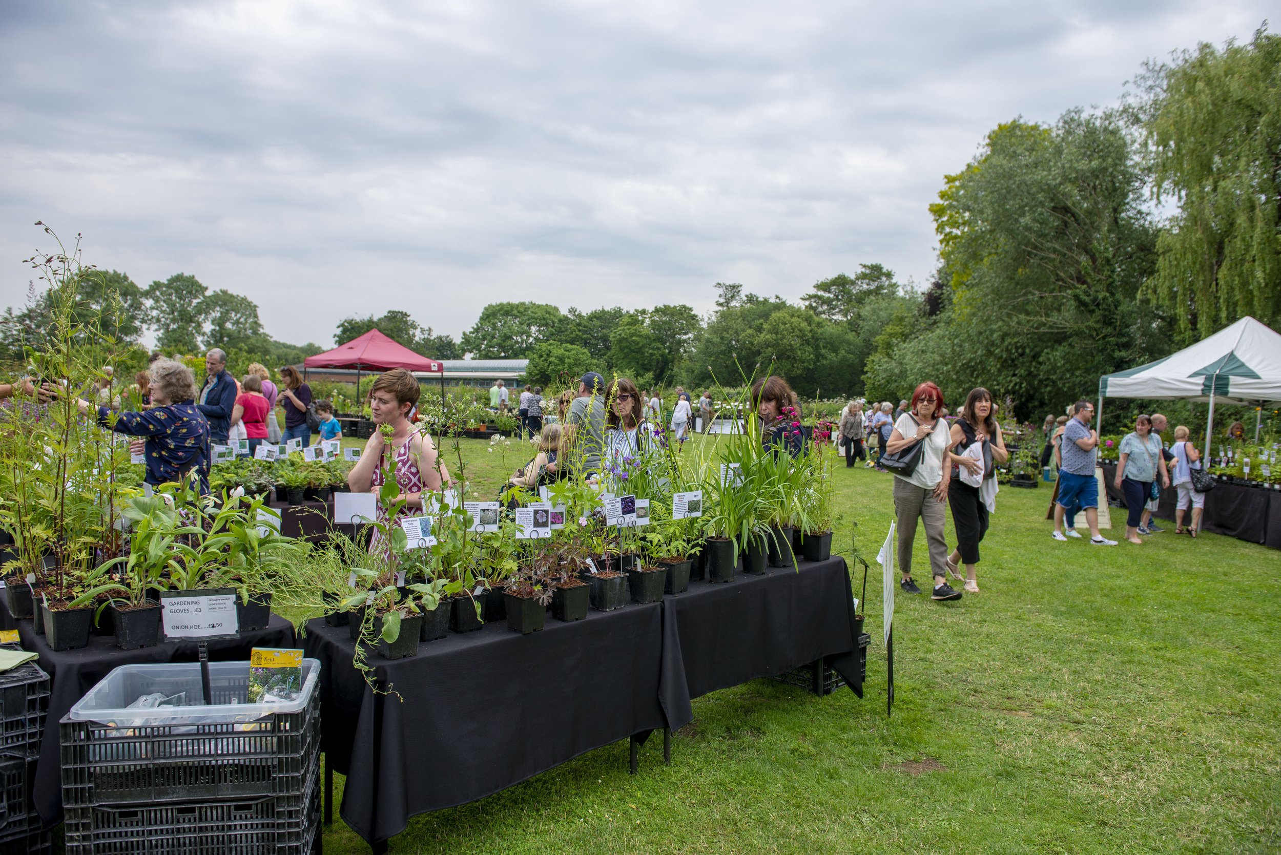 Leonardslee Plant Fair | Leonardslee Gardens