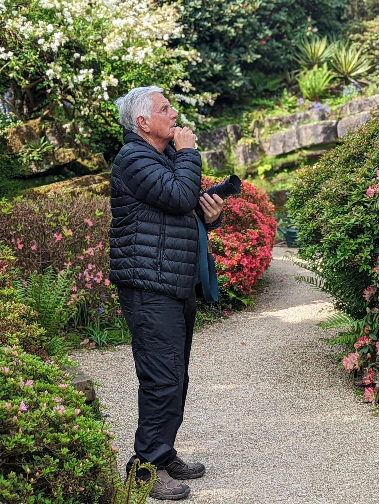 Mindfulness Photography Workshop | Leonardslee Gardens