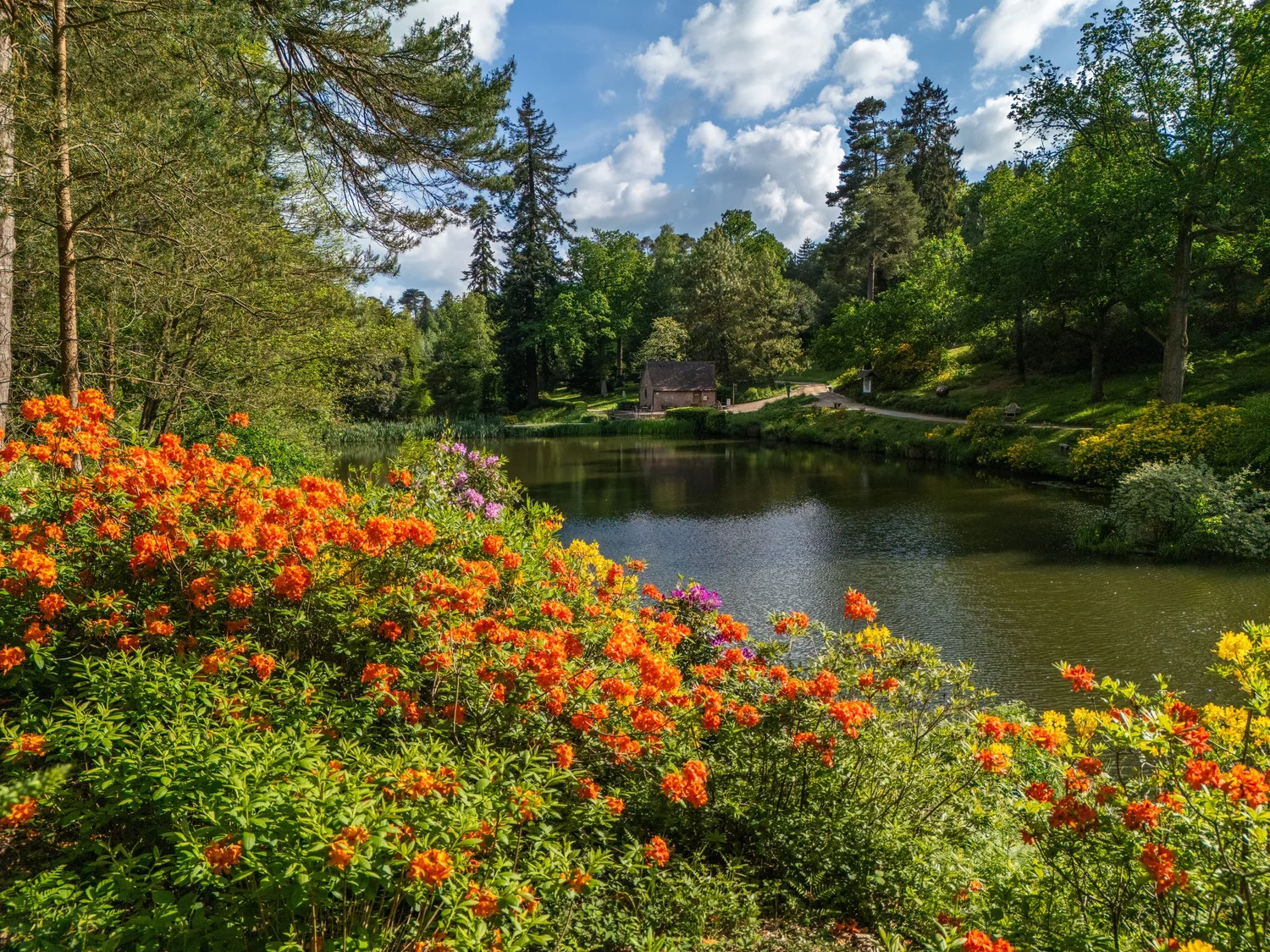 News | Leonardslee Gardens