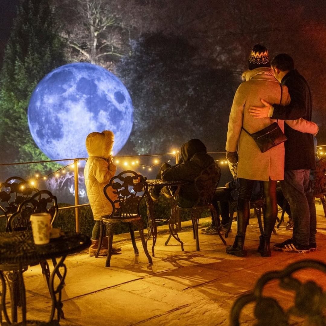 What to see & do | Leonardslee Gardens