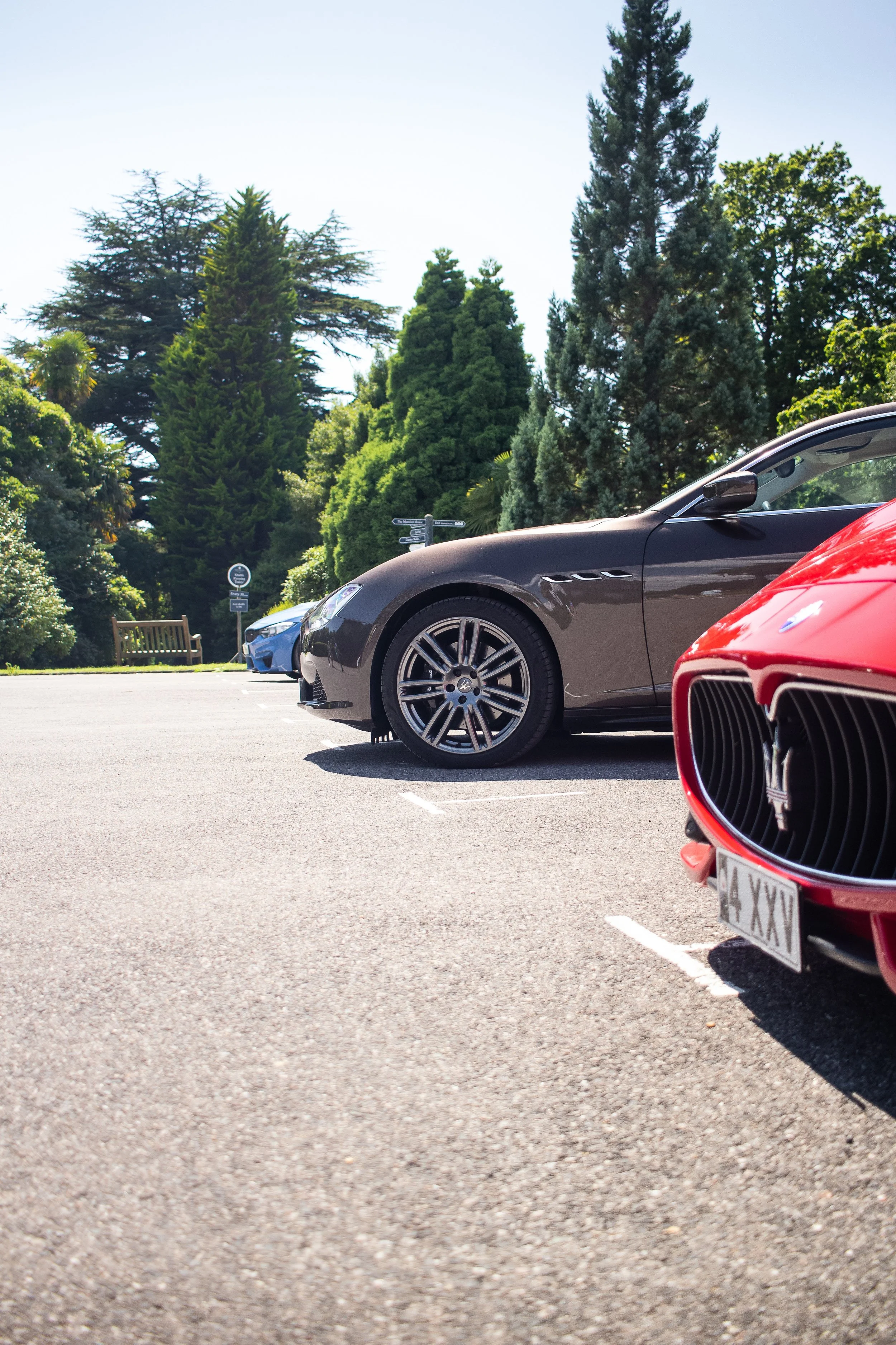 Supercars on Display | Leonardslee Gardens