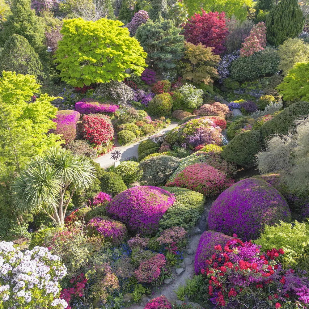Experience Spring | Leonardslee Gardens