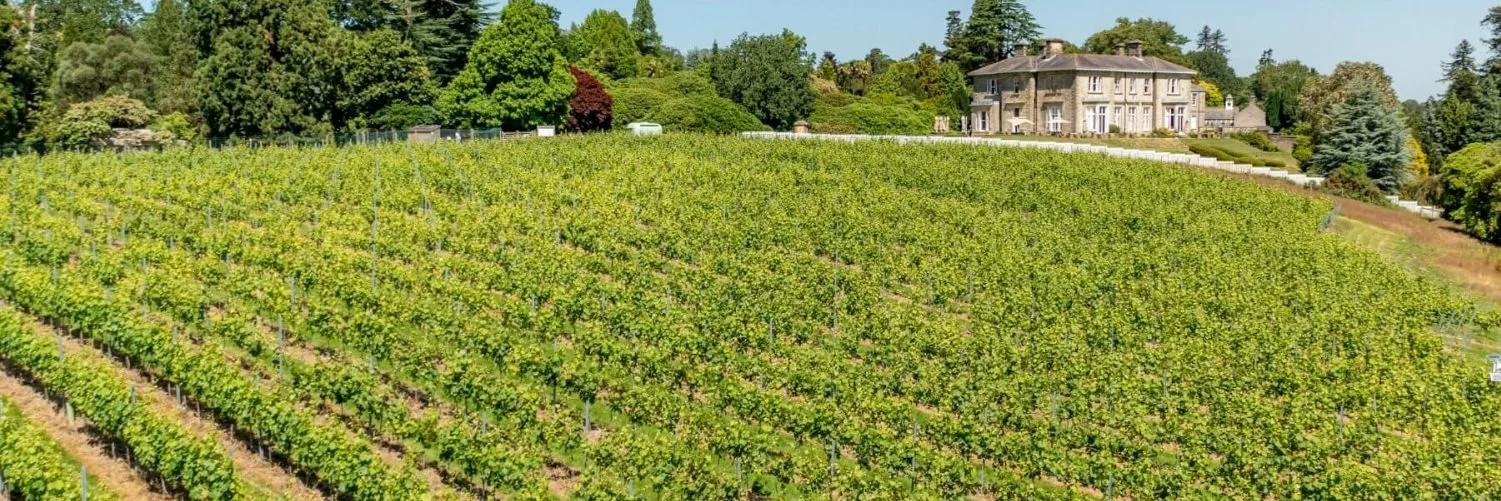 Leonardslee at Bubbles & Botanicals | Leonardslee Gardens