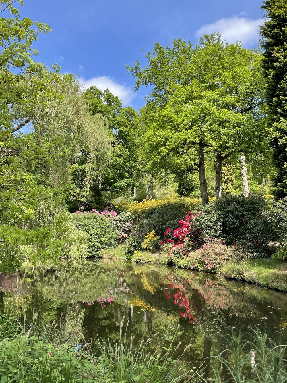 Celebrate Life | Leonardslee Gardens