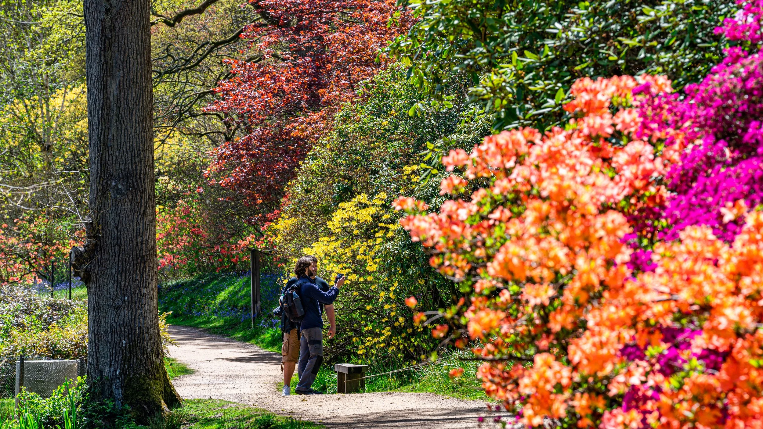 Leonardslee House | Leonardslee Gardens