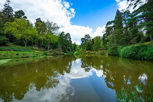 About Us | Leonardslee Gardens