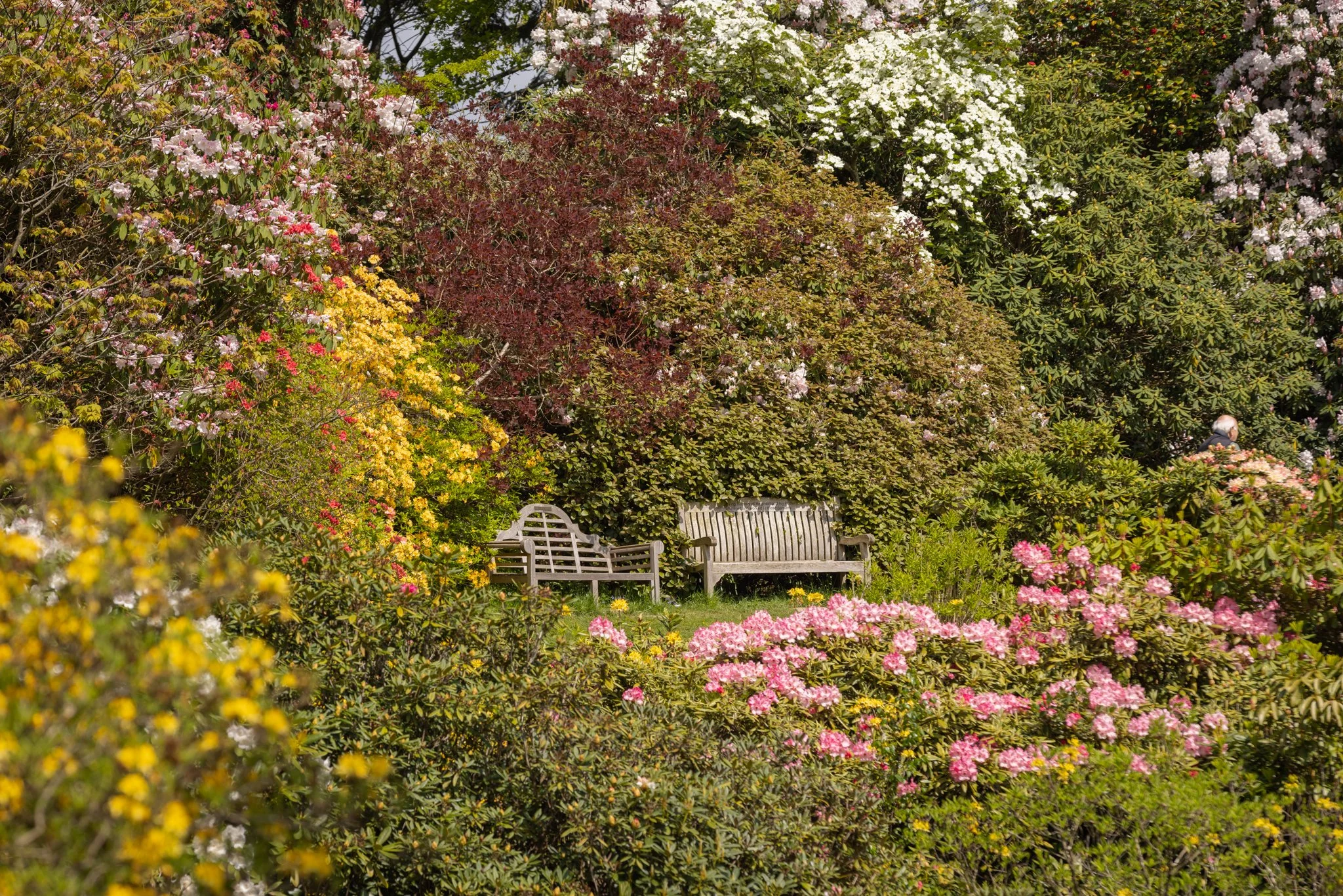 Leonardslee Florilegium | Leonardslee Gardens