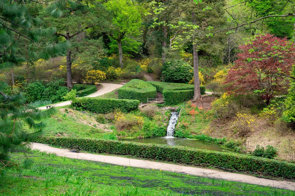 About Us | Leonardslee Gardens