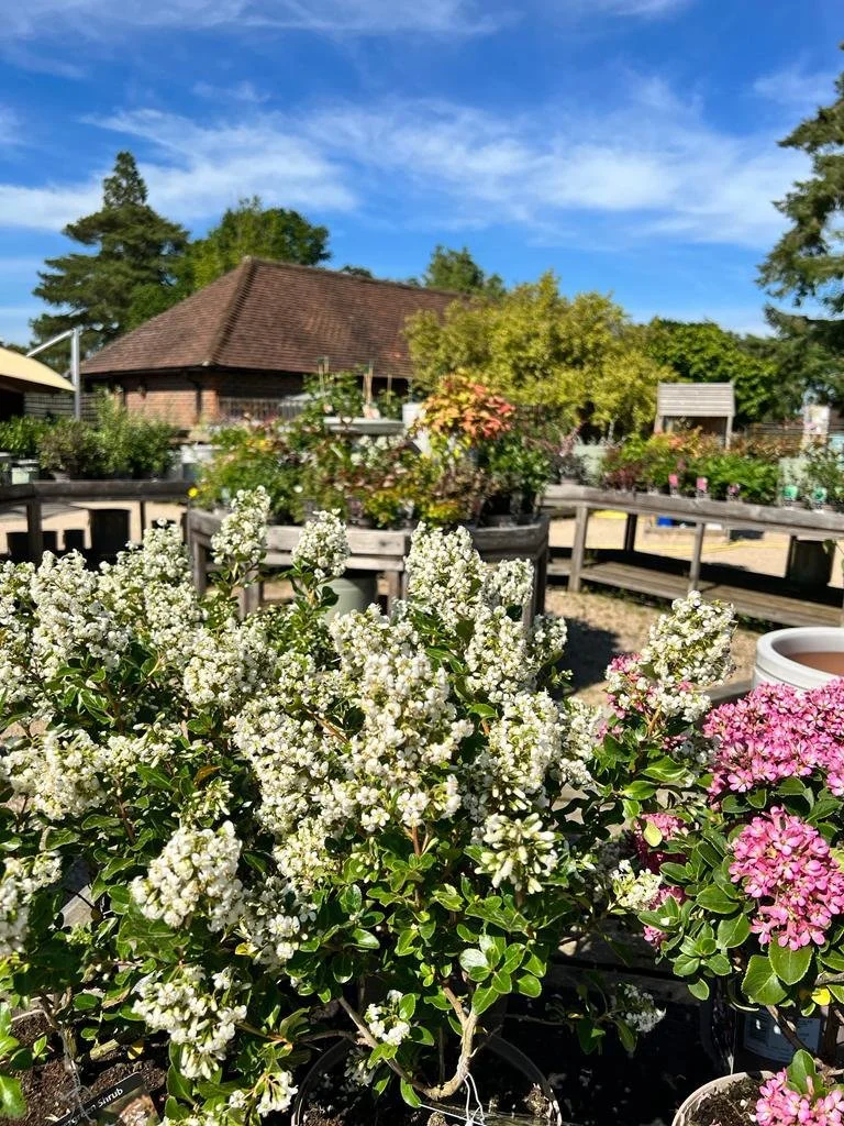 Members Area | Leonardslee Gardens