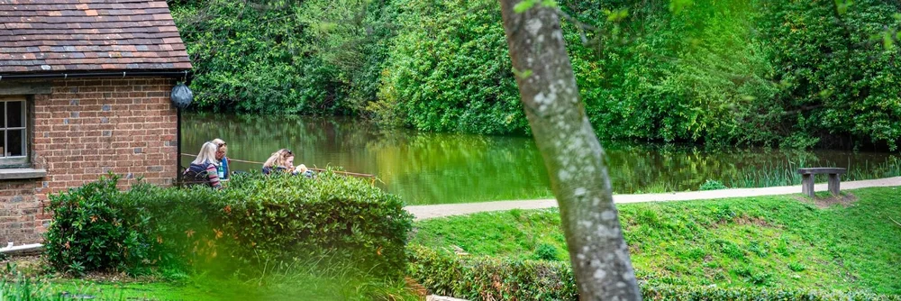 Champion Tree Fact File | Leonardslee Gardens