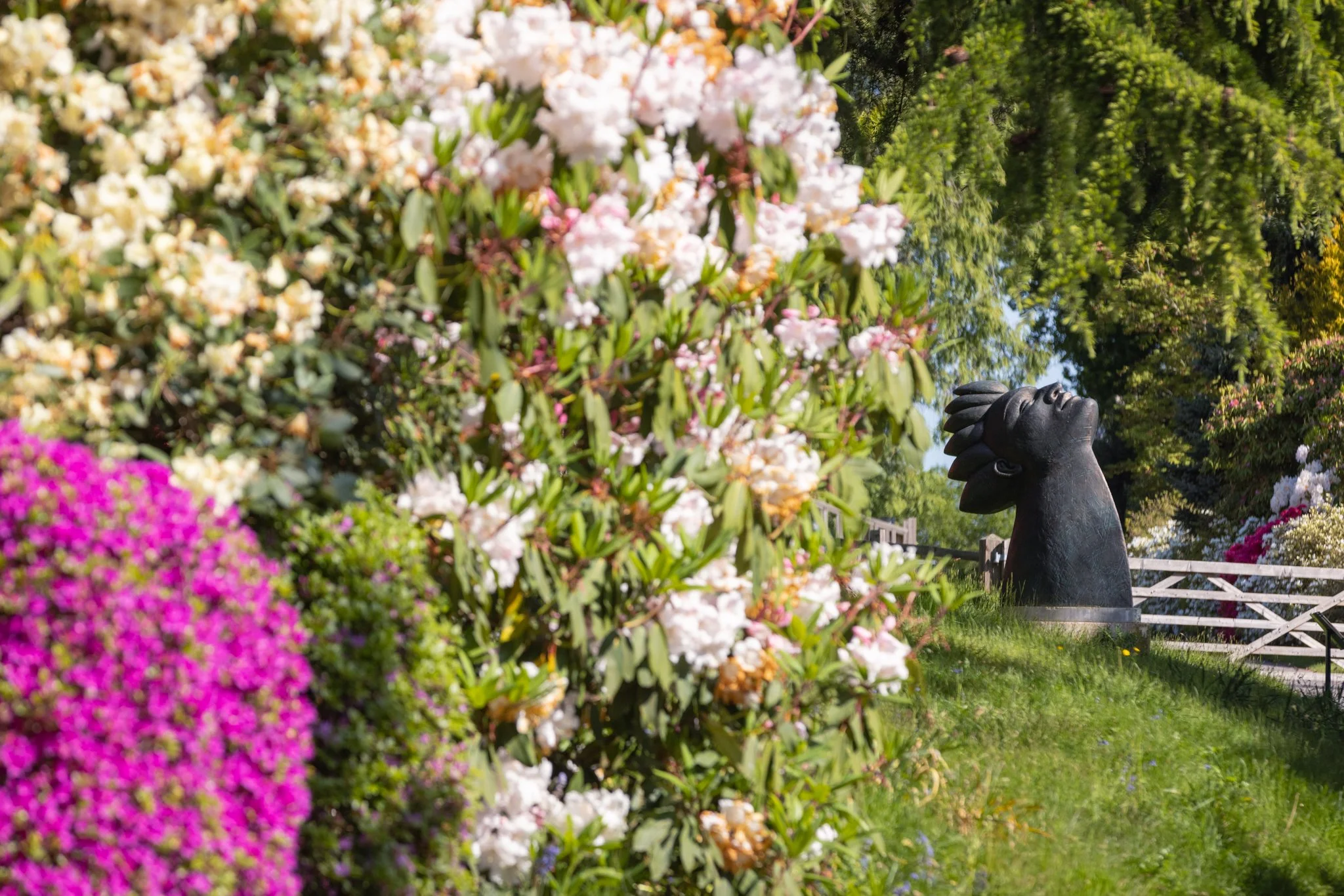 About Us | Leonardslee Gardens