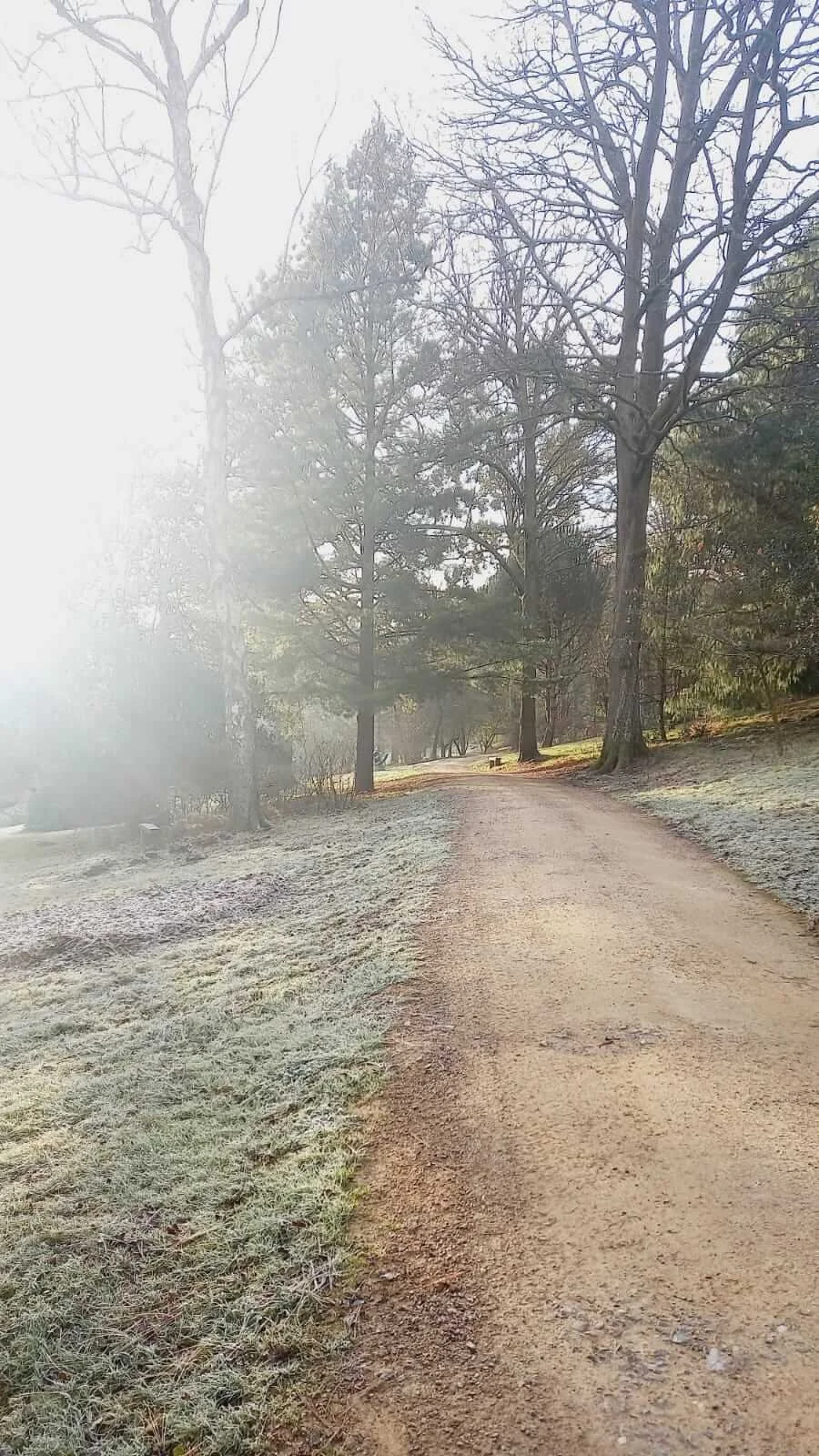 Visit | Leonardslee Gardens