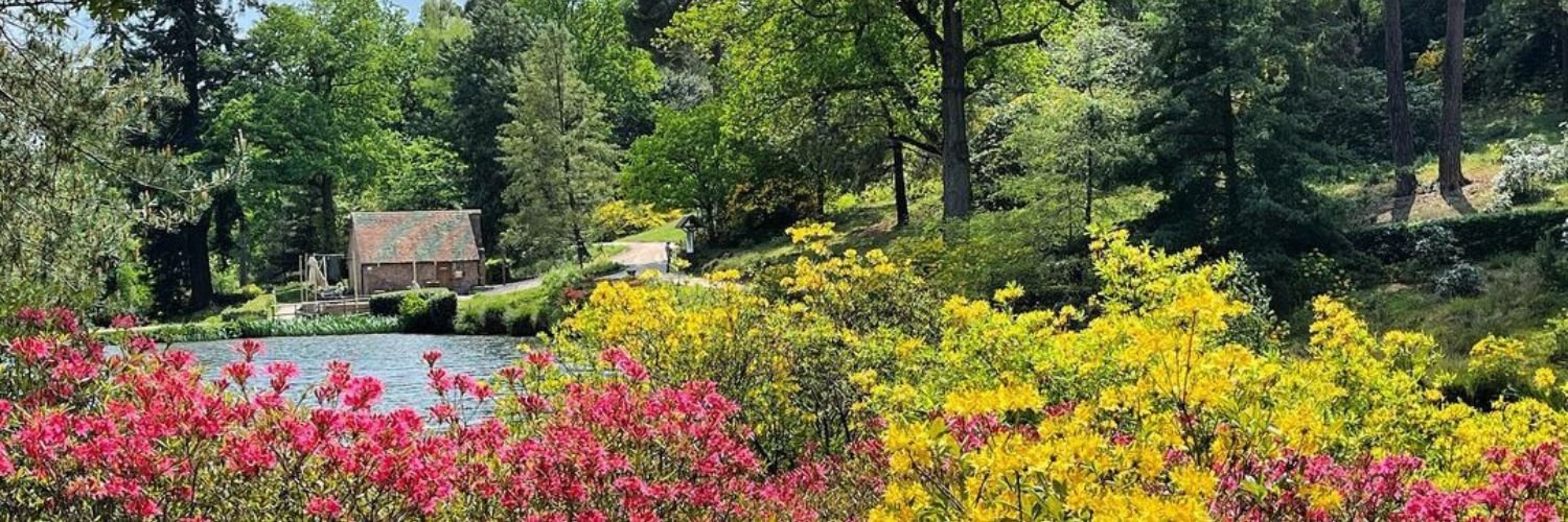 Lakes & Gardens | Leonardslee Gardens