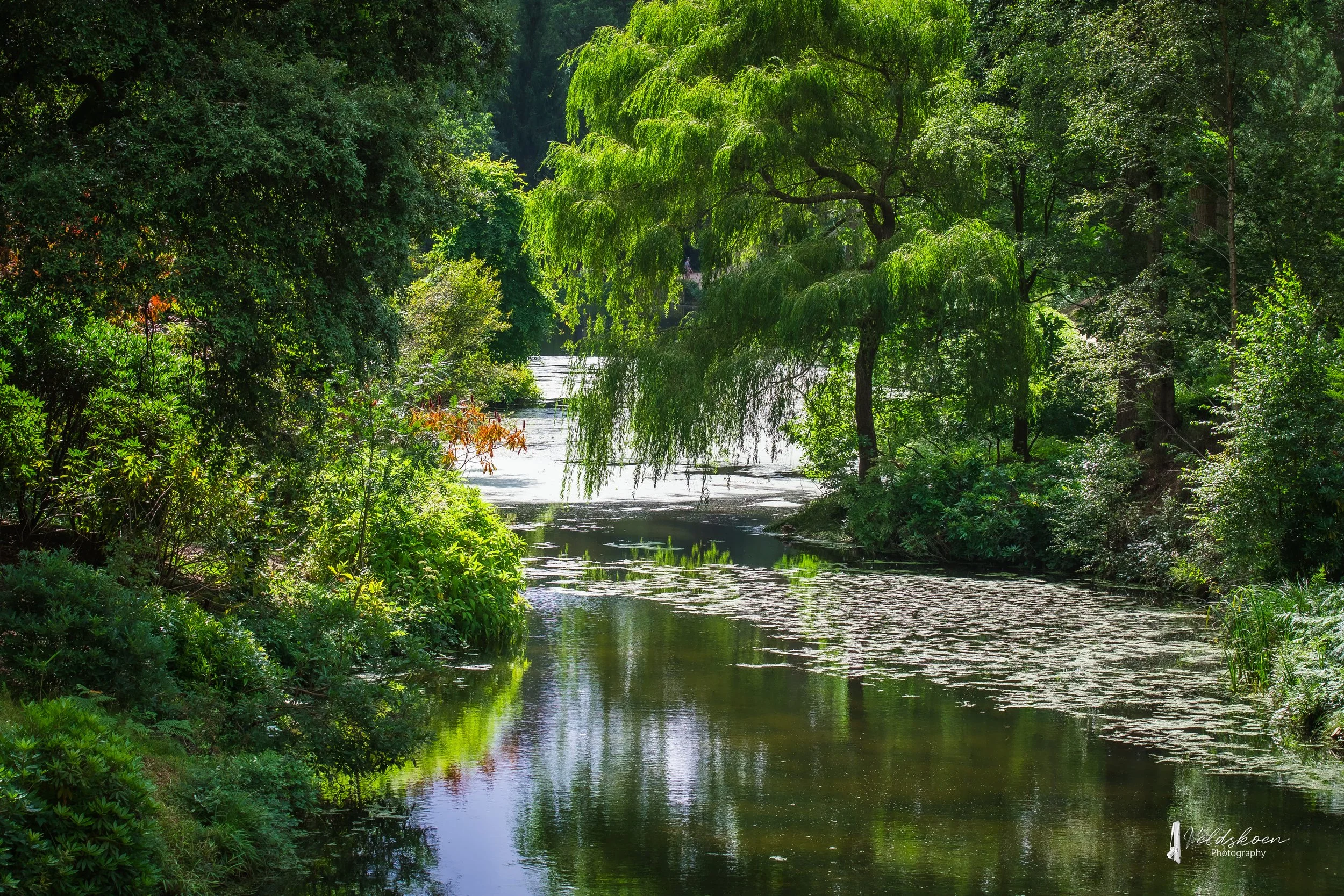 Visitor Information | Leonardslee Gardens