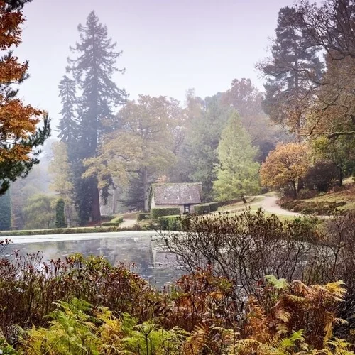 Gallery | Leonardslee Gardens