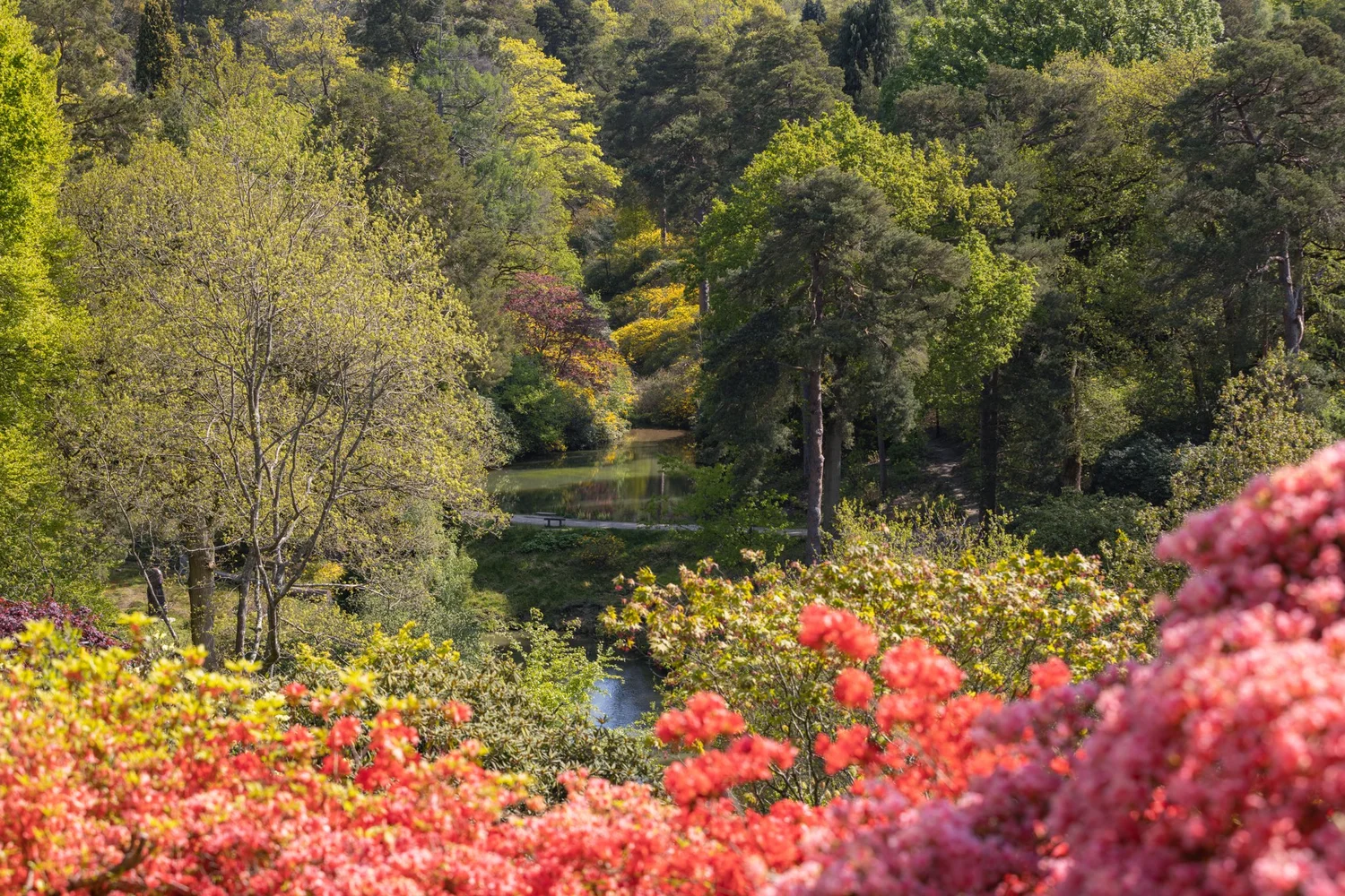 About Us | Leonardslee Gardens