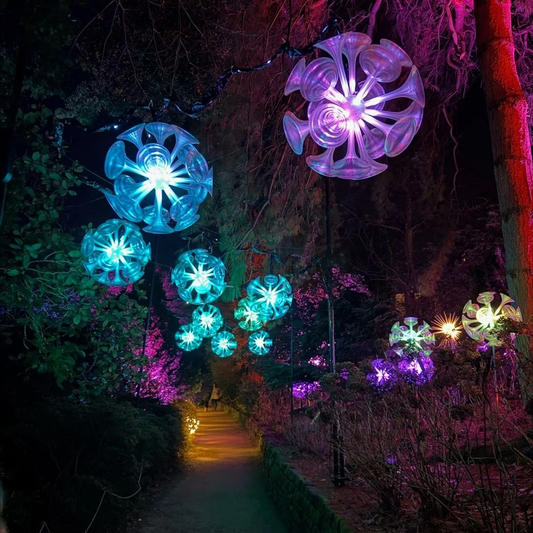 Leonardslee Lights | Leonardslee Gardens