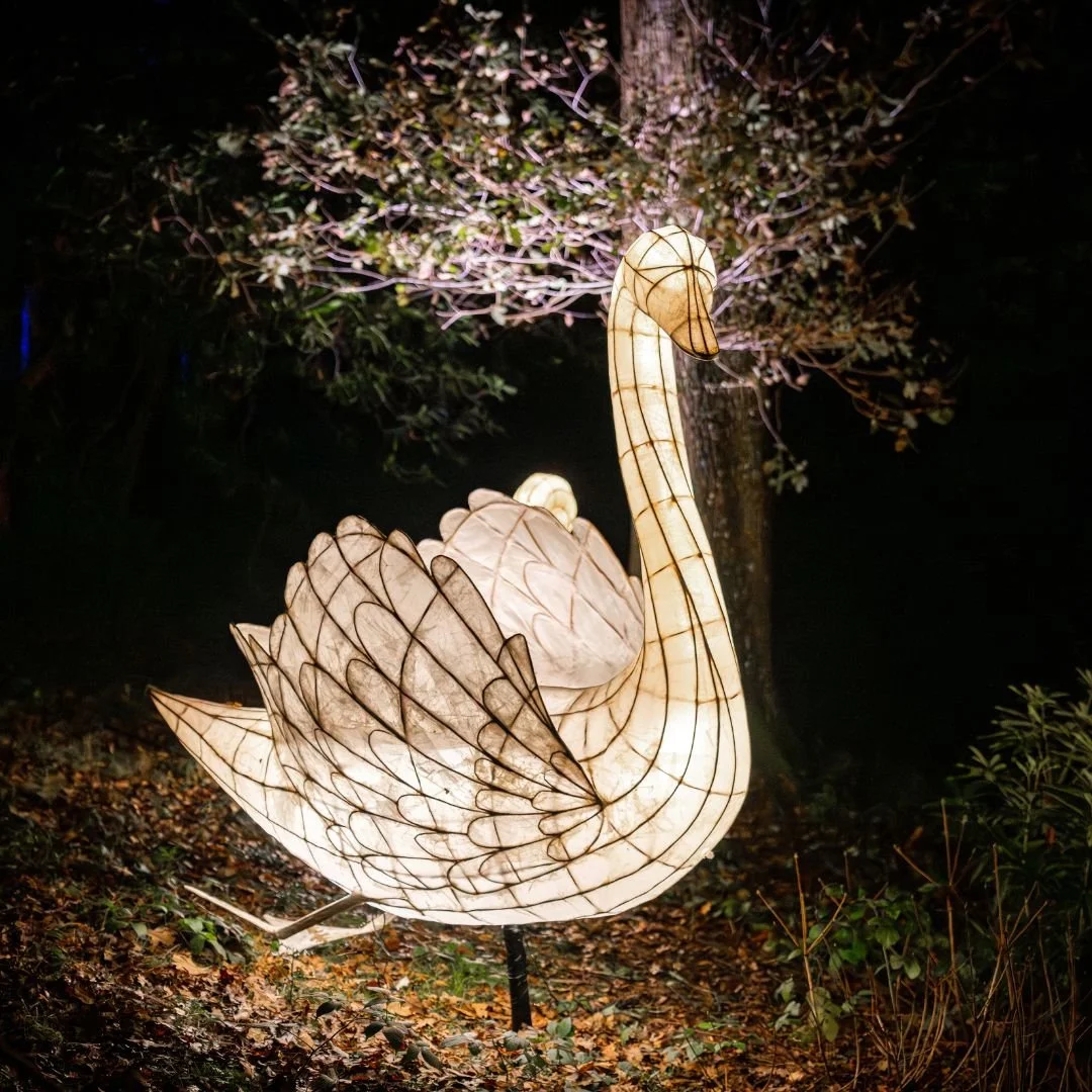 Meet the Artists Behind Leonardslee Lights 2025 | A Midwinter Light’s ...