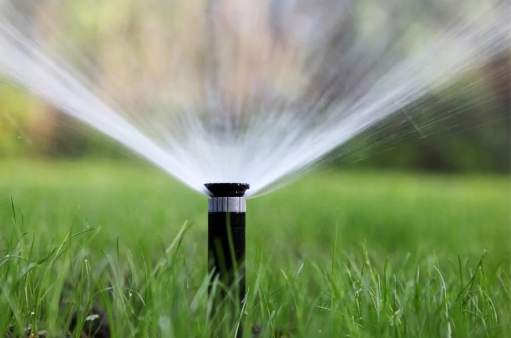 Not Much of a Green Thumb? Here's How an Irrigation System Can Help in ...