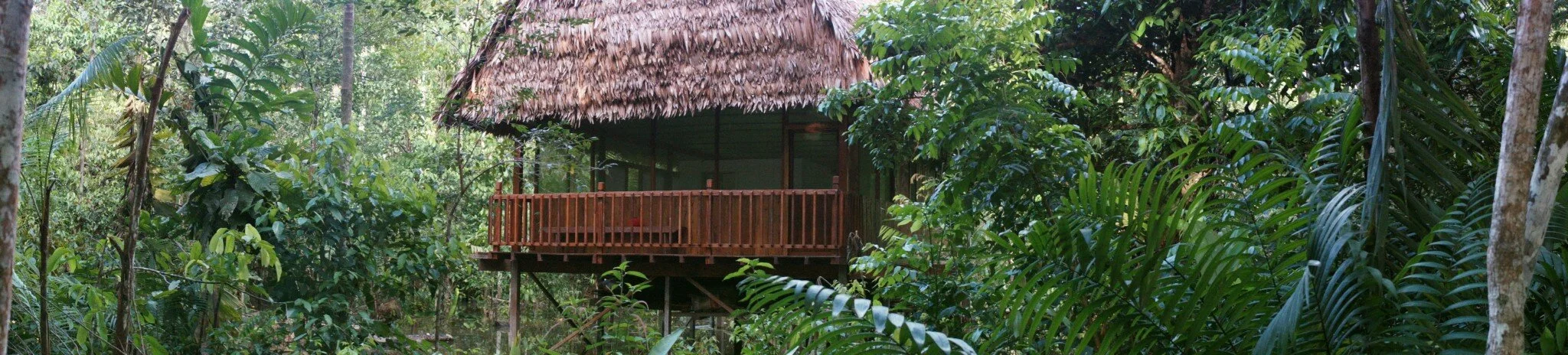 Otorongo Expeditions Amazon River Lodge