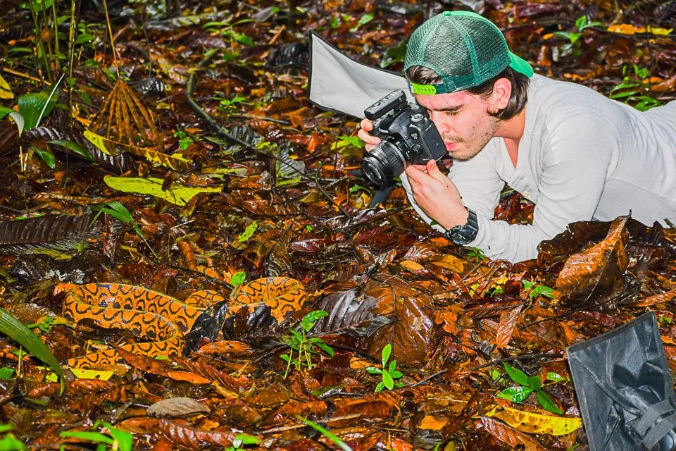 Programs for Herpetology enthusiasts - Otorongo Expeditions Amazon ...