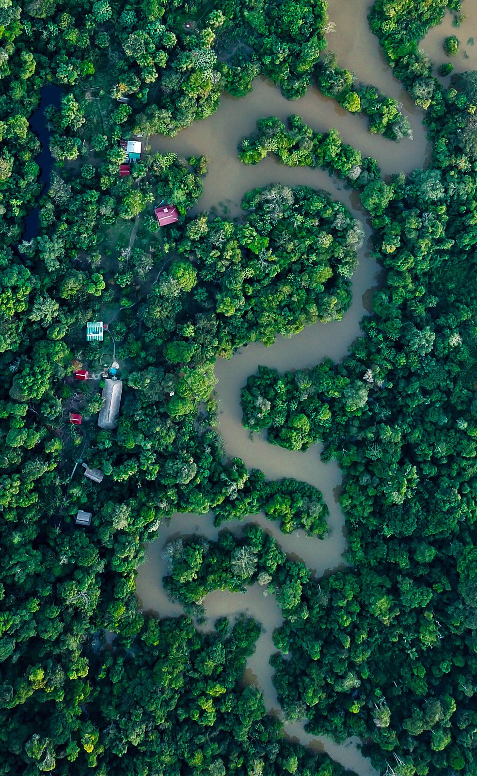 Otorongo Expeditions Amazon River Lodge