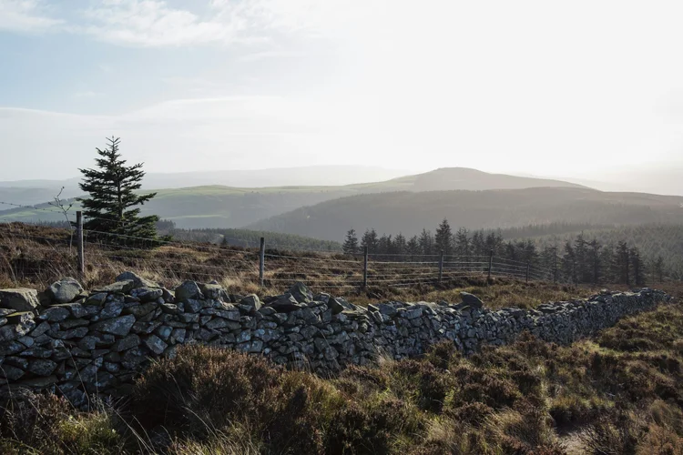 Woodland walk with a view: Moel Famau circular — Getlost with Gab 🌿