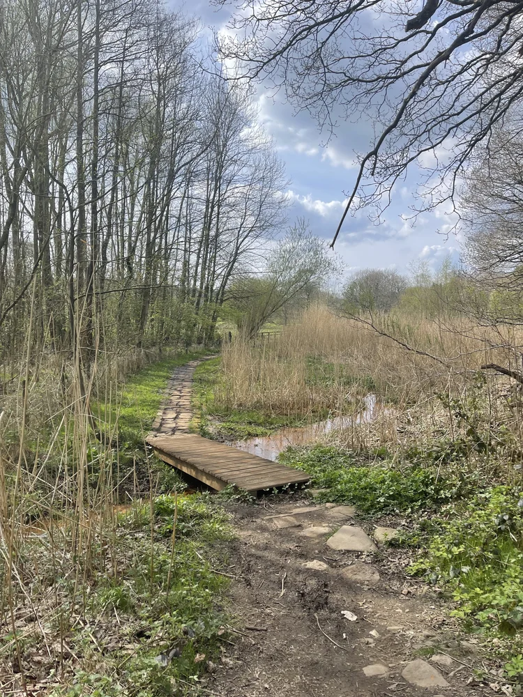 NEW MILLS MILLENIUM WALKWAY WALK — Getlost Adventures