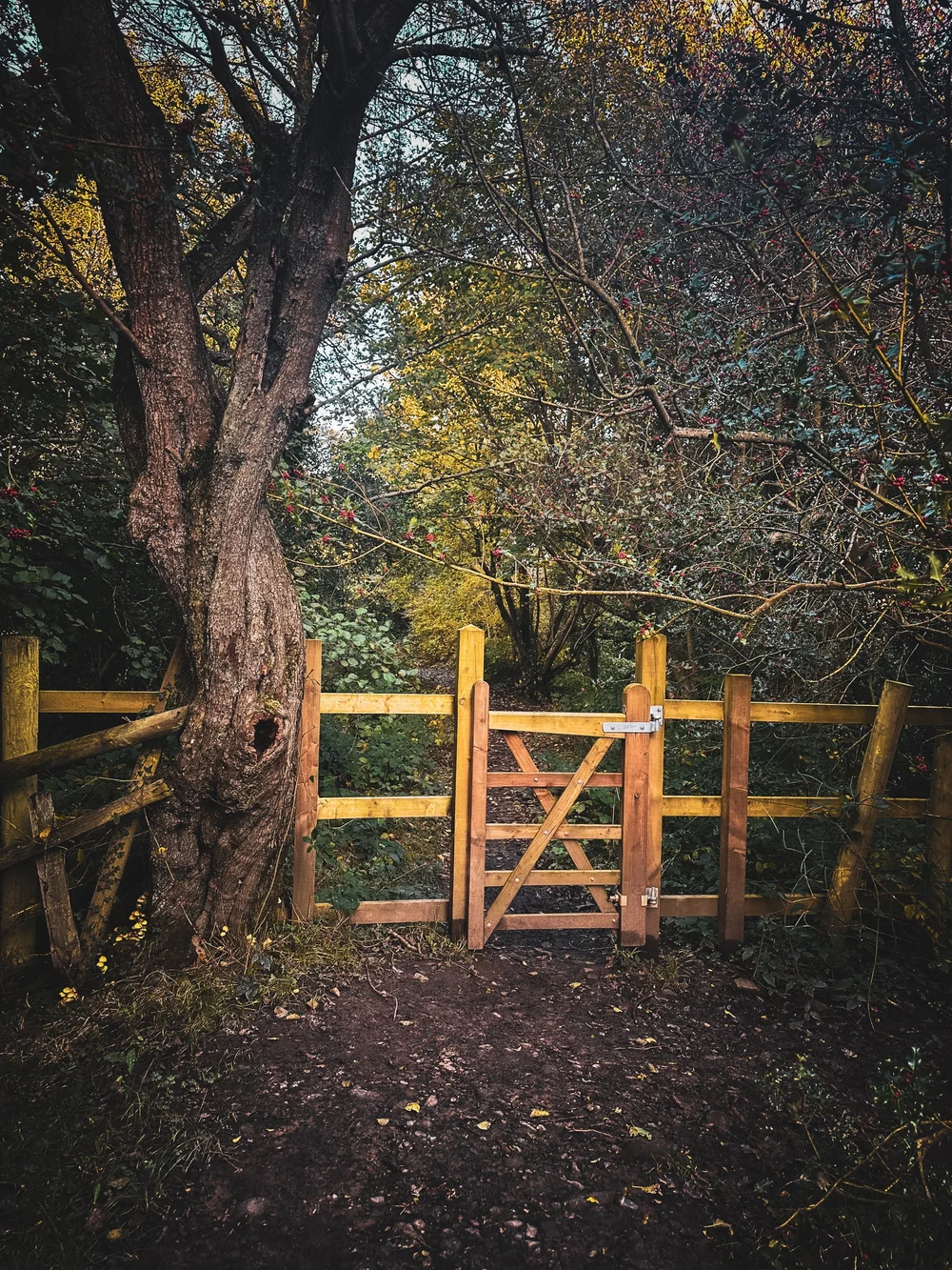 COMBS RESERVOIR AND ECCLES PIKE WALK — Getlost with Gab 🌿