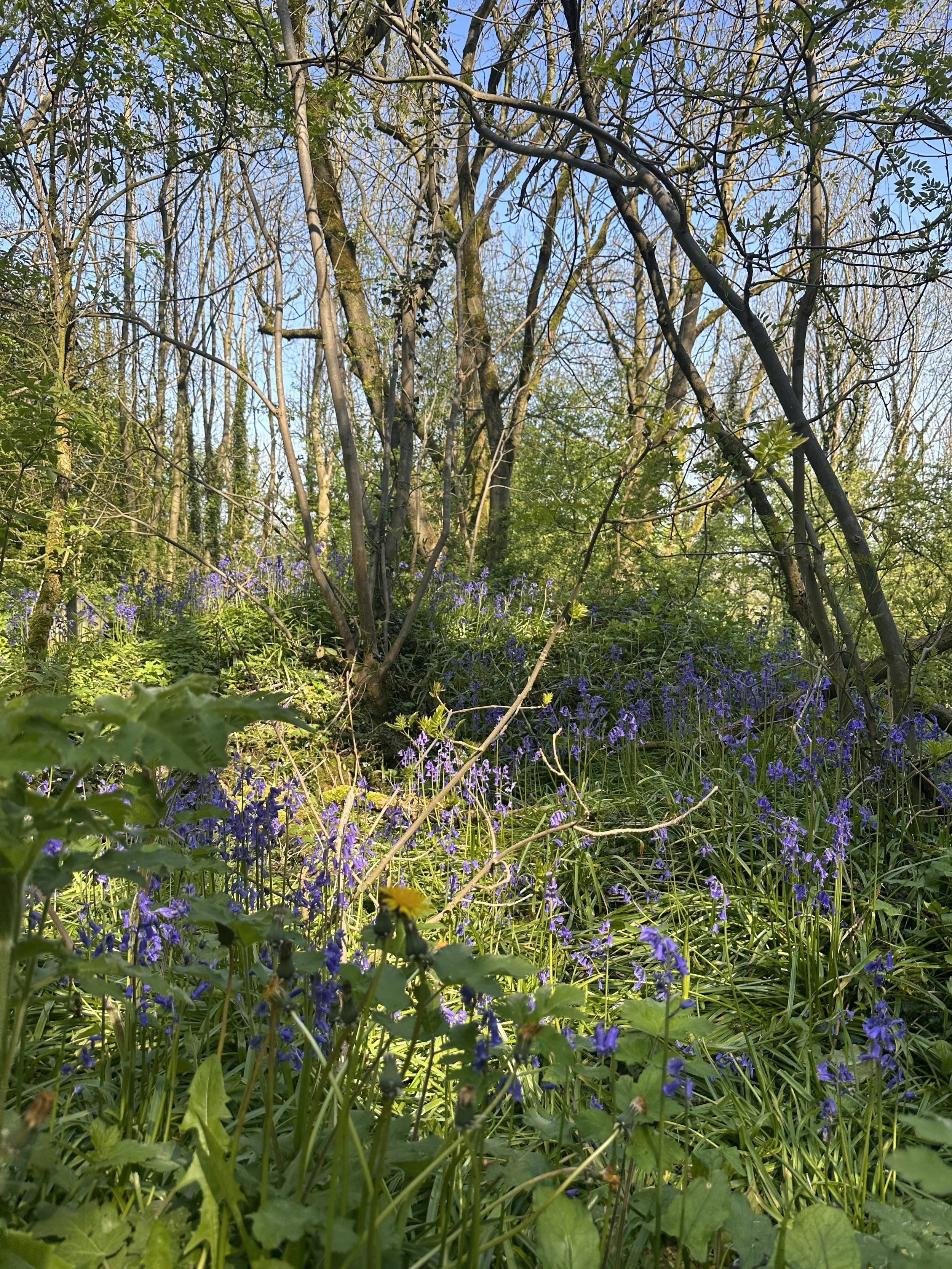 GIDDY EDGE WALK, HIGH TOR & LOVER'S WALK - MATLOCK BATH — Getlost with ...