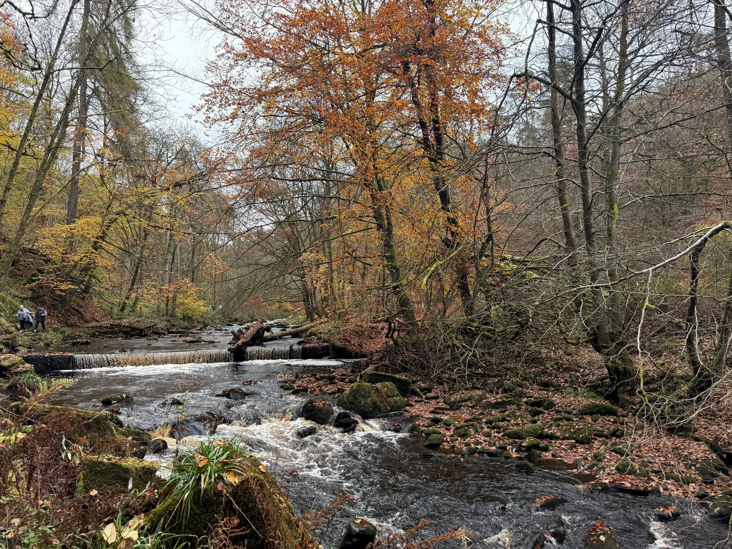 HARDCASTLE CRAGS, HEBDEN BRIDGE — Getlost Adventures