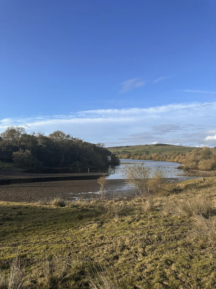 COMBS RESERVOIR AND ECCLES PIKE WALK — Getlost with Gab 🌿