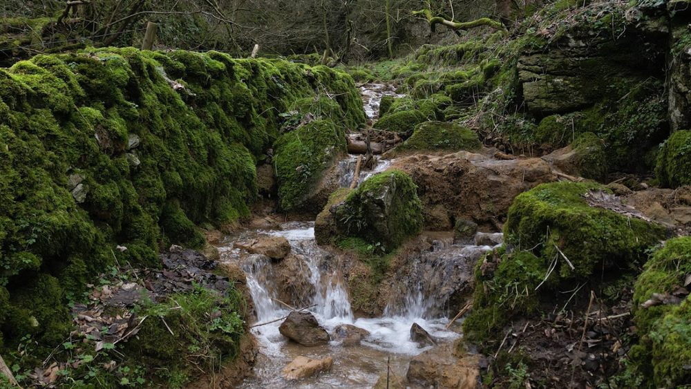 MAGPIE MINE WALK — Getlost with Gab 🌿