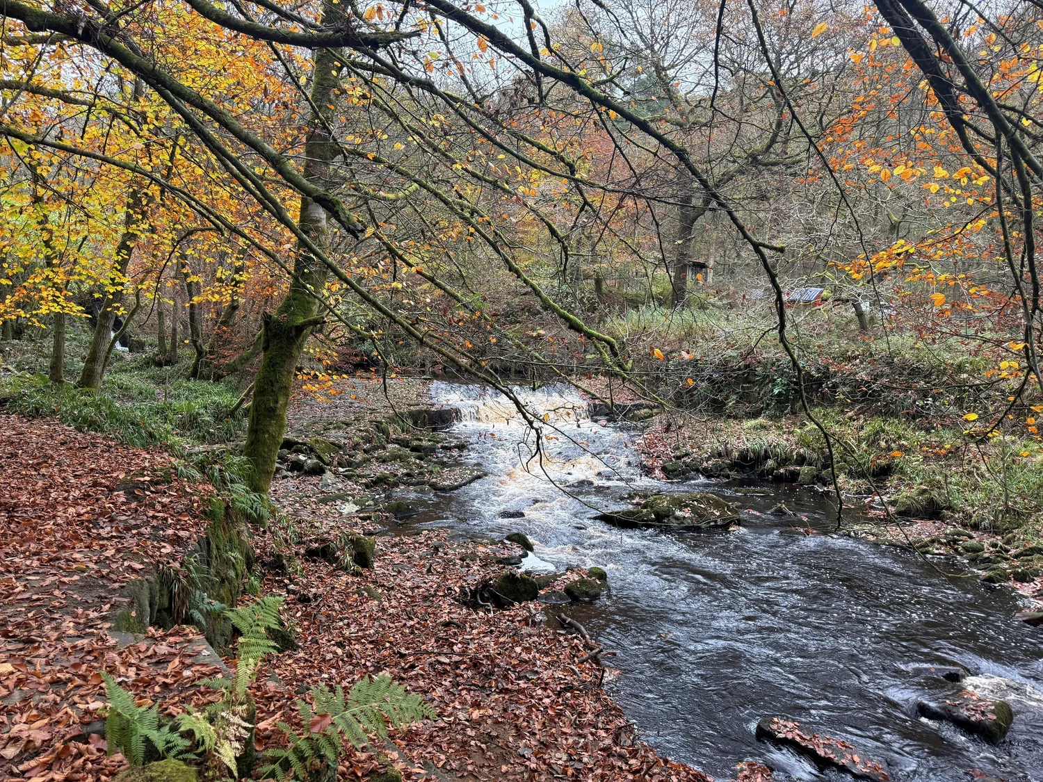 HARDCASTLE CRAGS, HEBDEN BRIDGE — Getlost Adventures