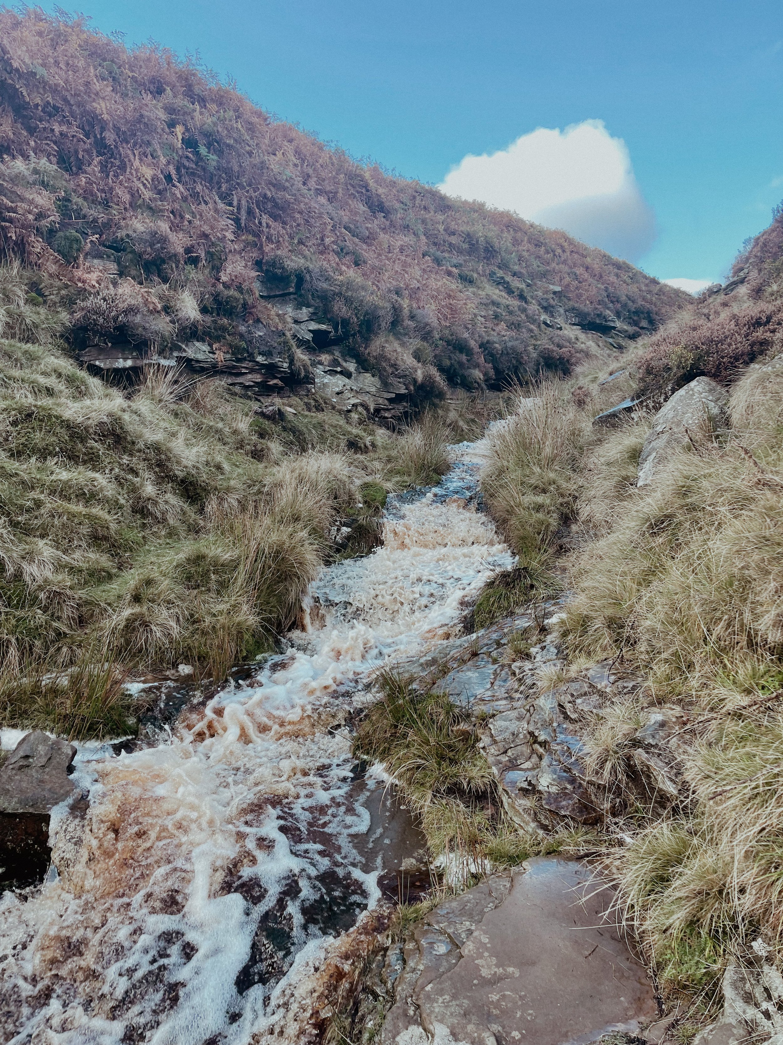 SNAKE WOODLANDS LOOP — Getlost with Gab 🌿