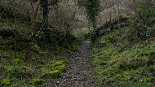 MAGPIE MINE WALK — Getlost with Gab 🌿