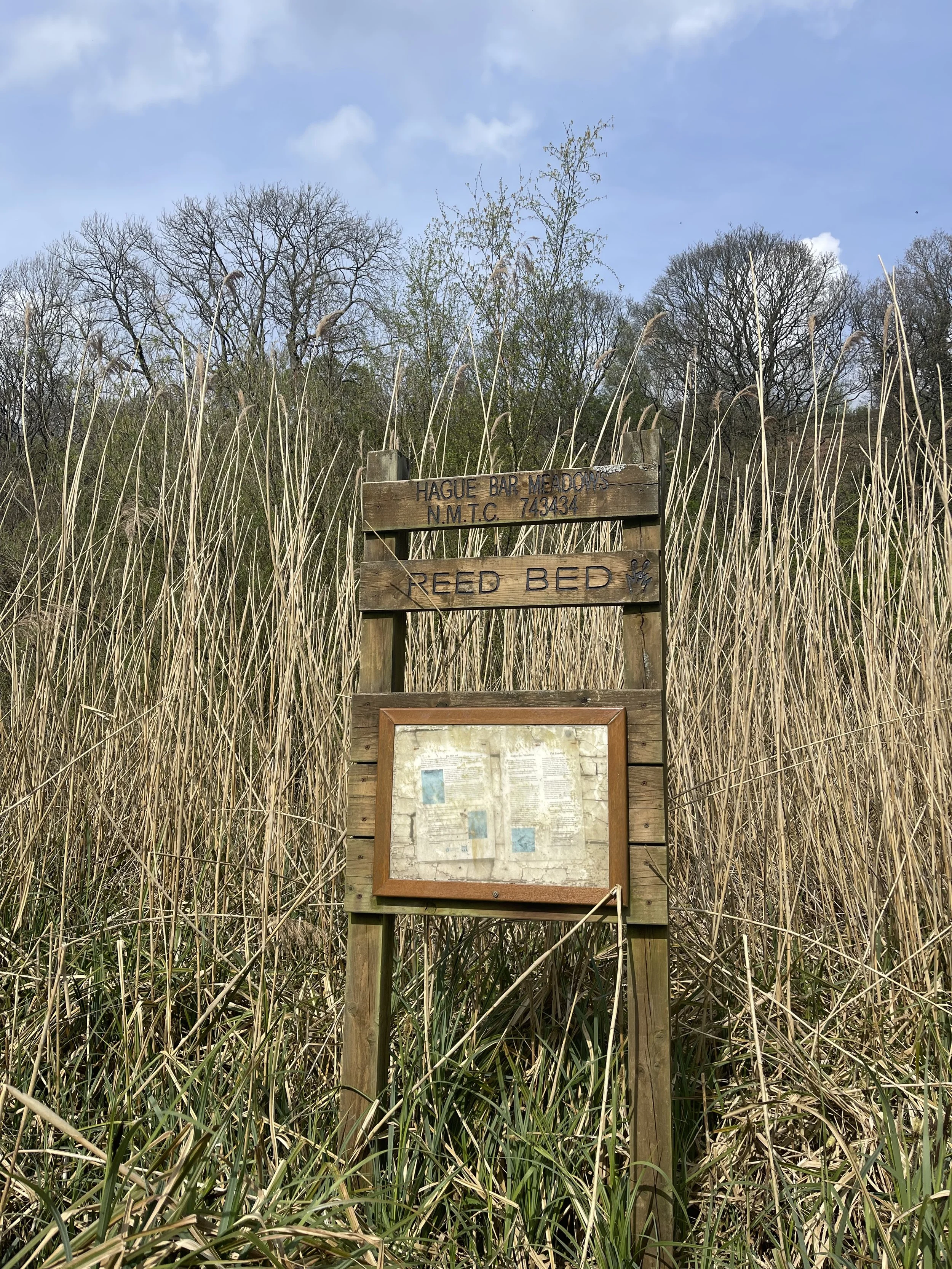 NEW MILLS MILLENIUM WALKWAY WALK — Getlost with Gab 🌿