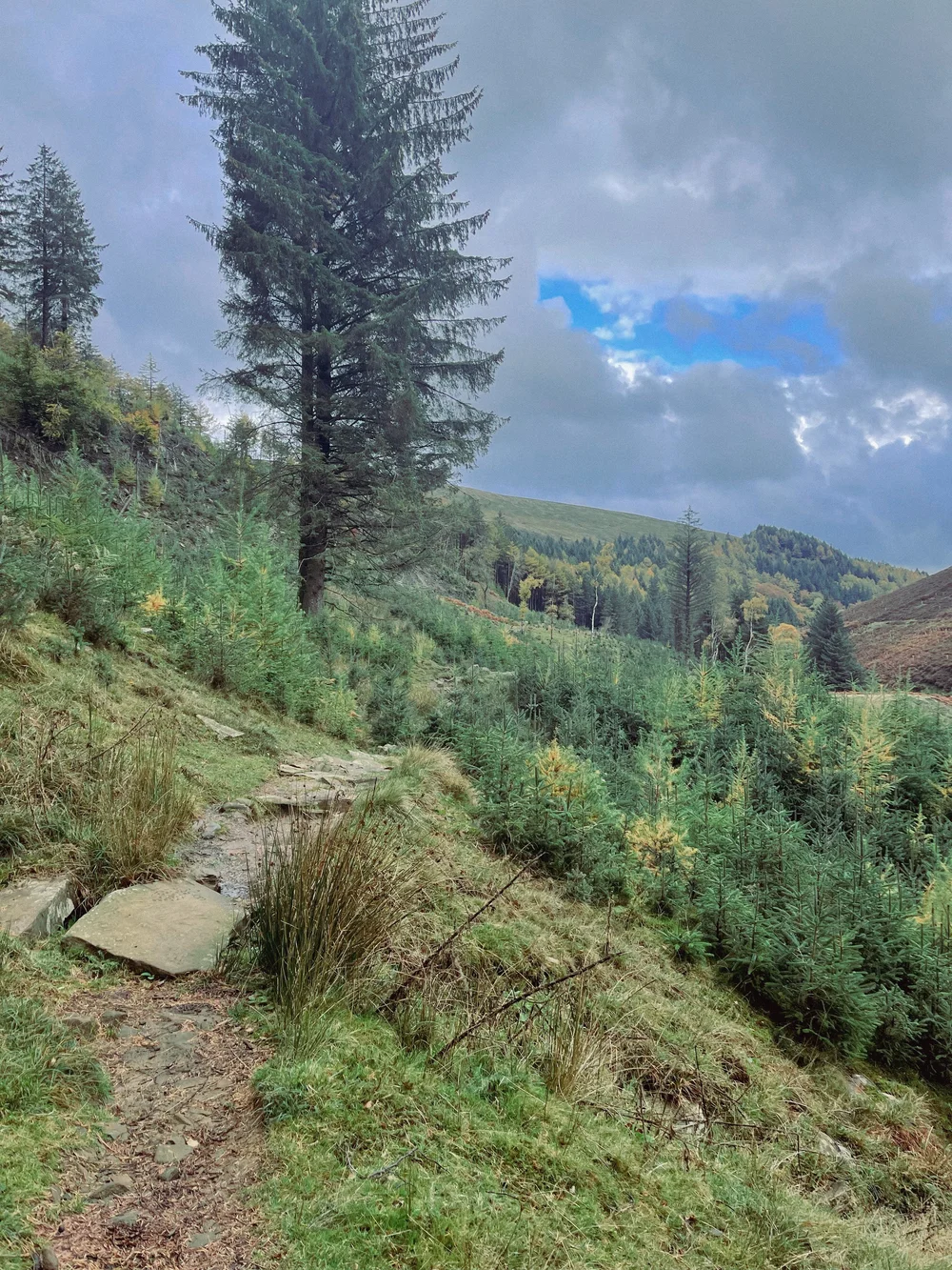 SNAKE WOODLANDS LOOP — Getlost with Gab 🌿