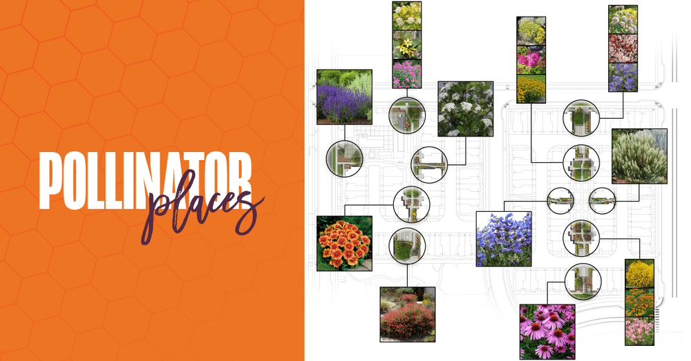 Pollinator Places — pcs group