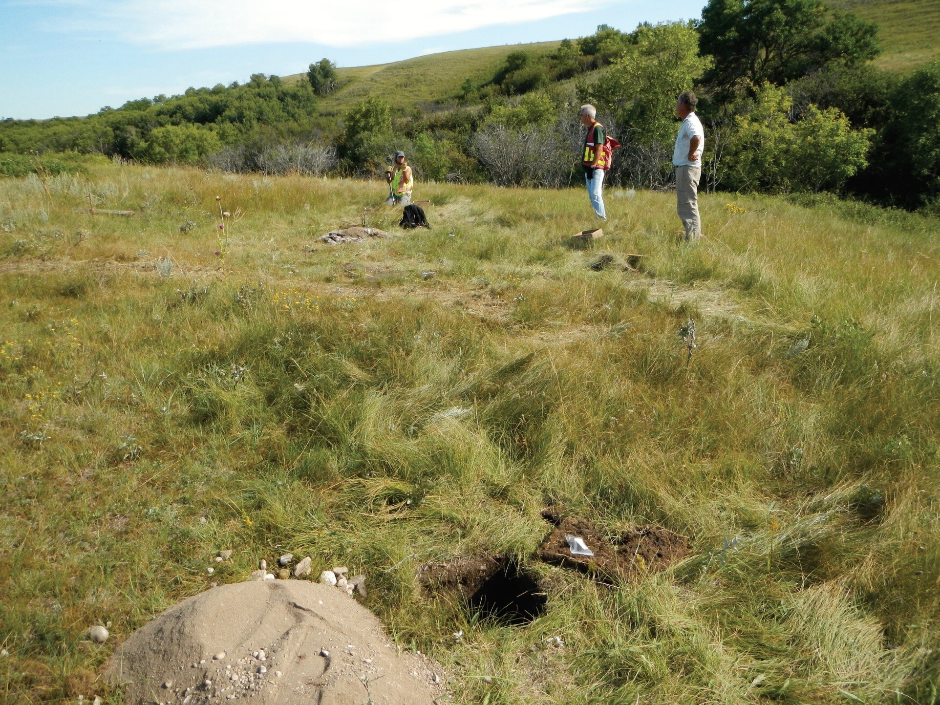 Arrow Archaeology Limited- Arrow Archaeology