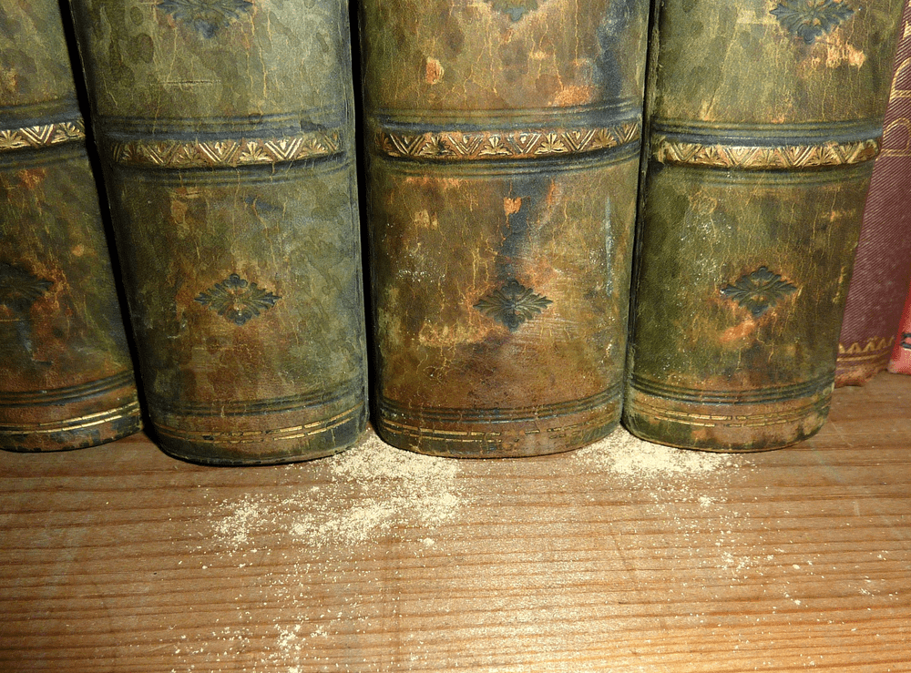 Integrated Pest Management (IPM) for paper archives — Archives ...