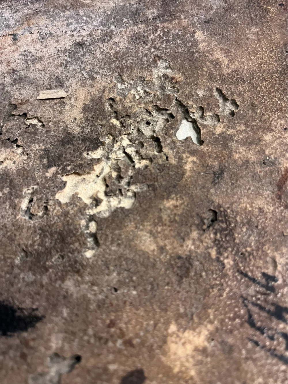 Paper Archives and the Agents of Deterioration — Archives & Records ...